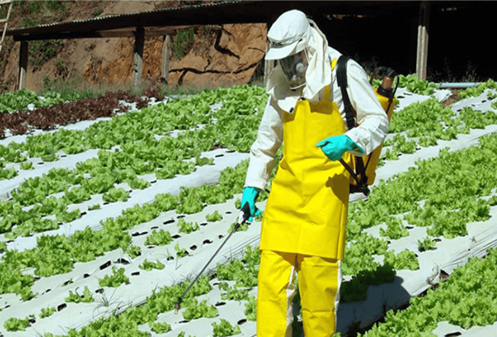 Aplicação correta dos agrotóxicos na lavoura | RCIA Araraquara Aplicação correta dos agrotóxicos na lavoura | RCIA Araraquara