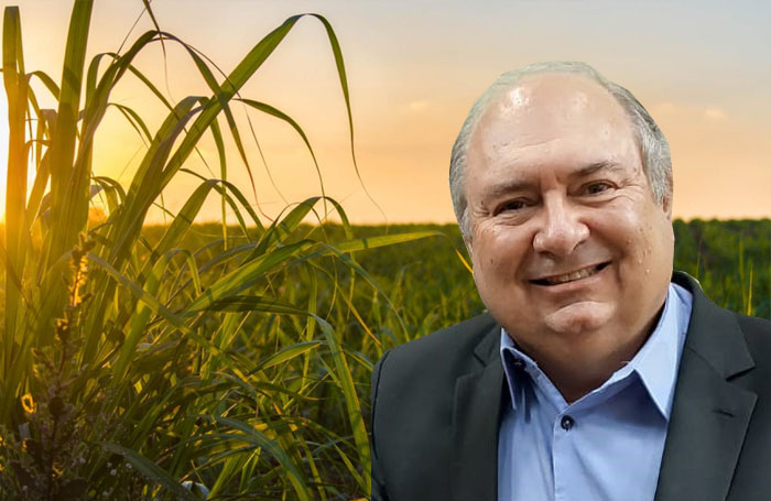 Canasol, presente na discussão de projetos que visam ampliar a produção ...